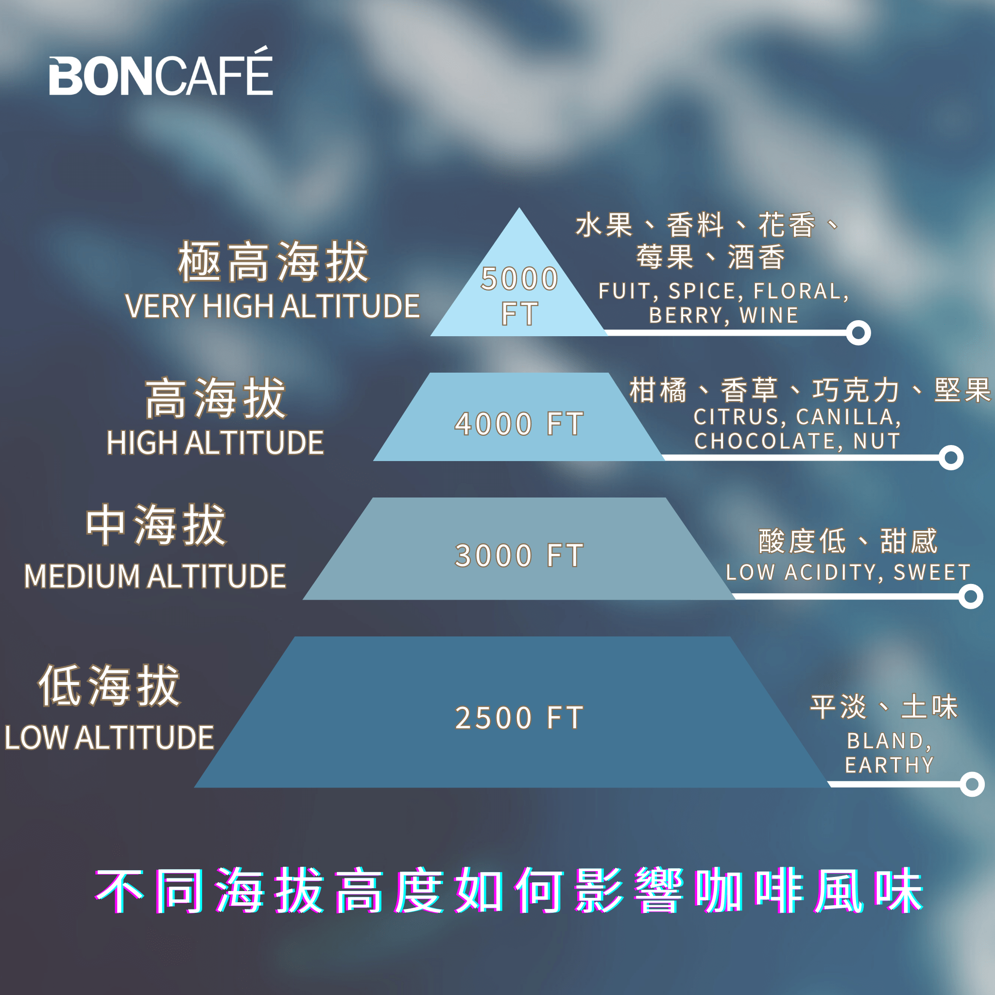 [Coffee Fun Fact | How Different Altitudes Affect Coffee Flavor]